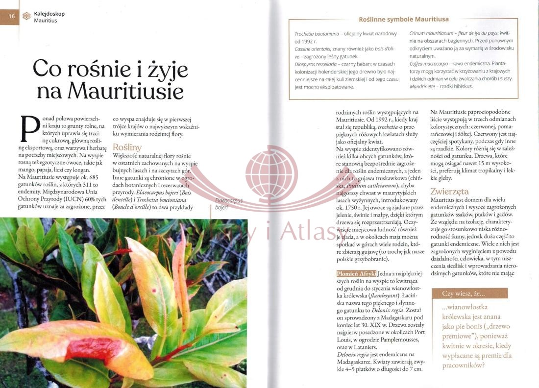 MAURITIUS I SESZELE PRZEWODNIK + MAPA PASCAL