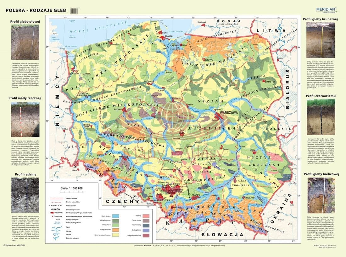 POLSKA MAPA SZKOLNA RODZAJE GLEB DO POWIESZENIA