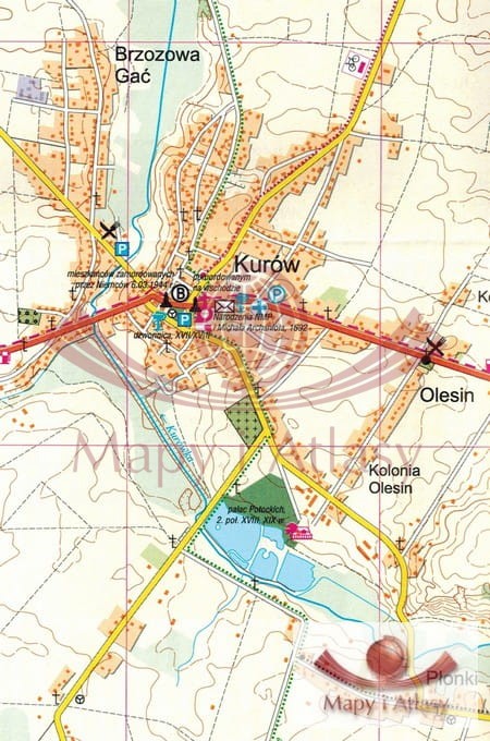 NAŁĘCZÓW. MAPA TURYSTYCZNA / PLAN MIASTA. CARTOMEDIA