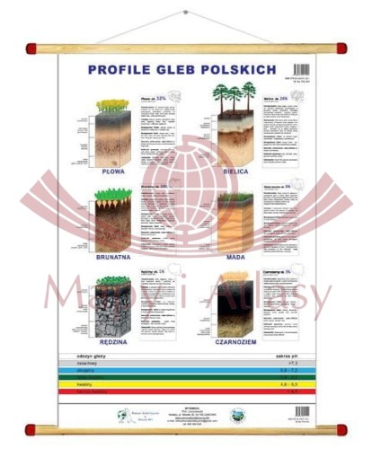 PROFILE GLEB POLSKICH PLANSZA DYDAKTYCZNA 70 X 100