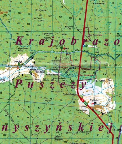 PUSZCZA KNYSZYŃSKA SKŁADANA MAPA LAMINOWANA